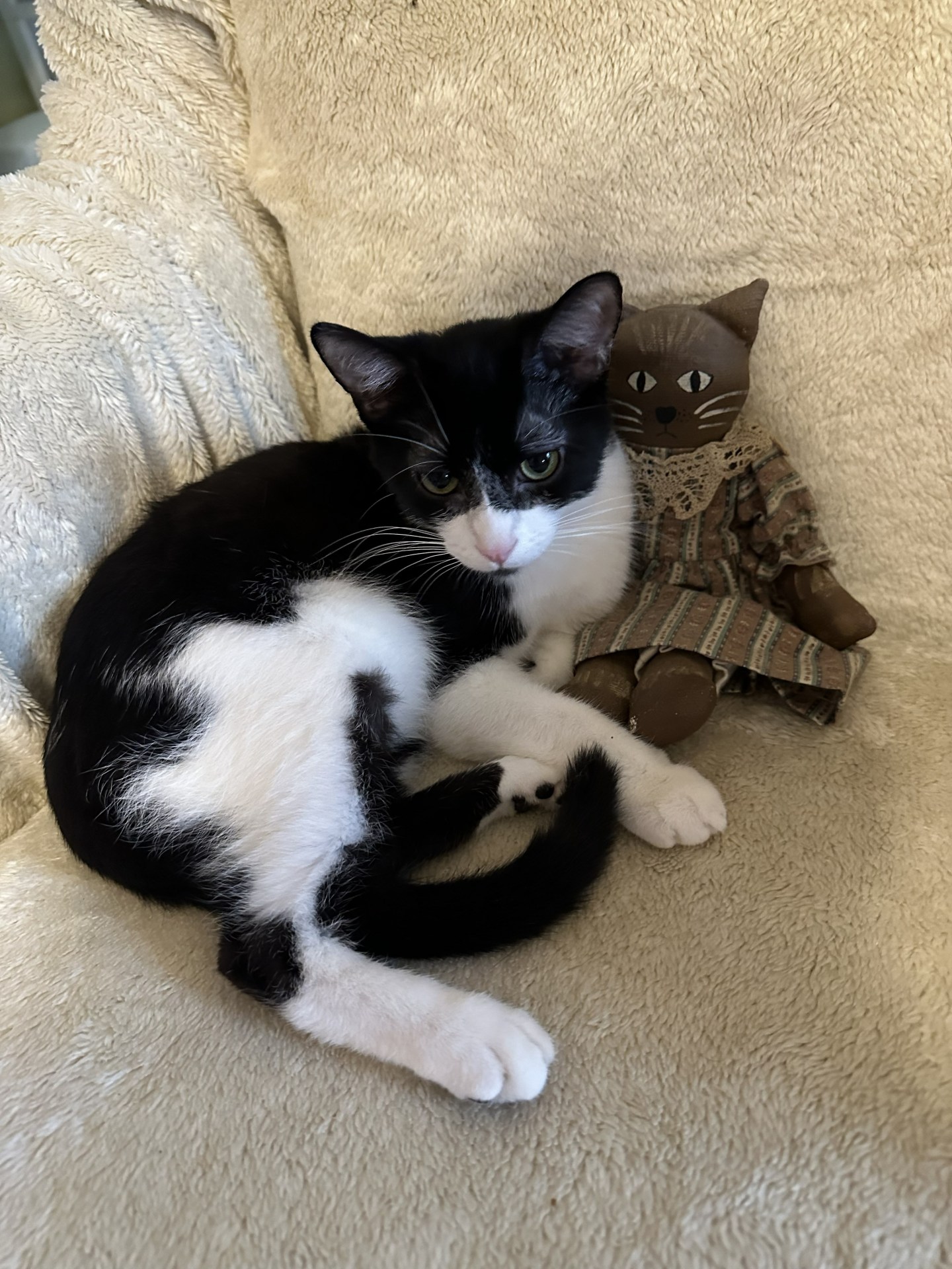 Last Chance Animal Rescue – If you're looking for a fur companion we ...